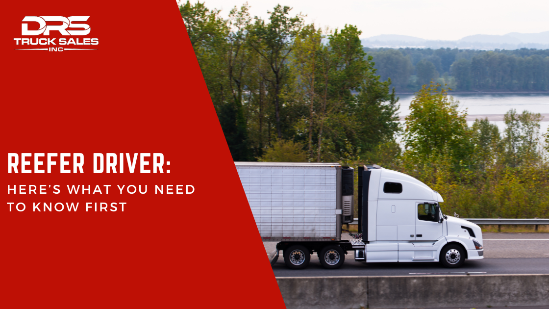 Reefer Driver: Here’s What You Need to Know First – DRS Truck Sales
